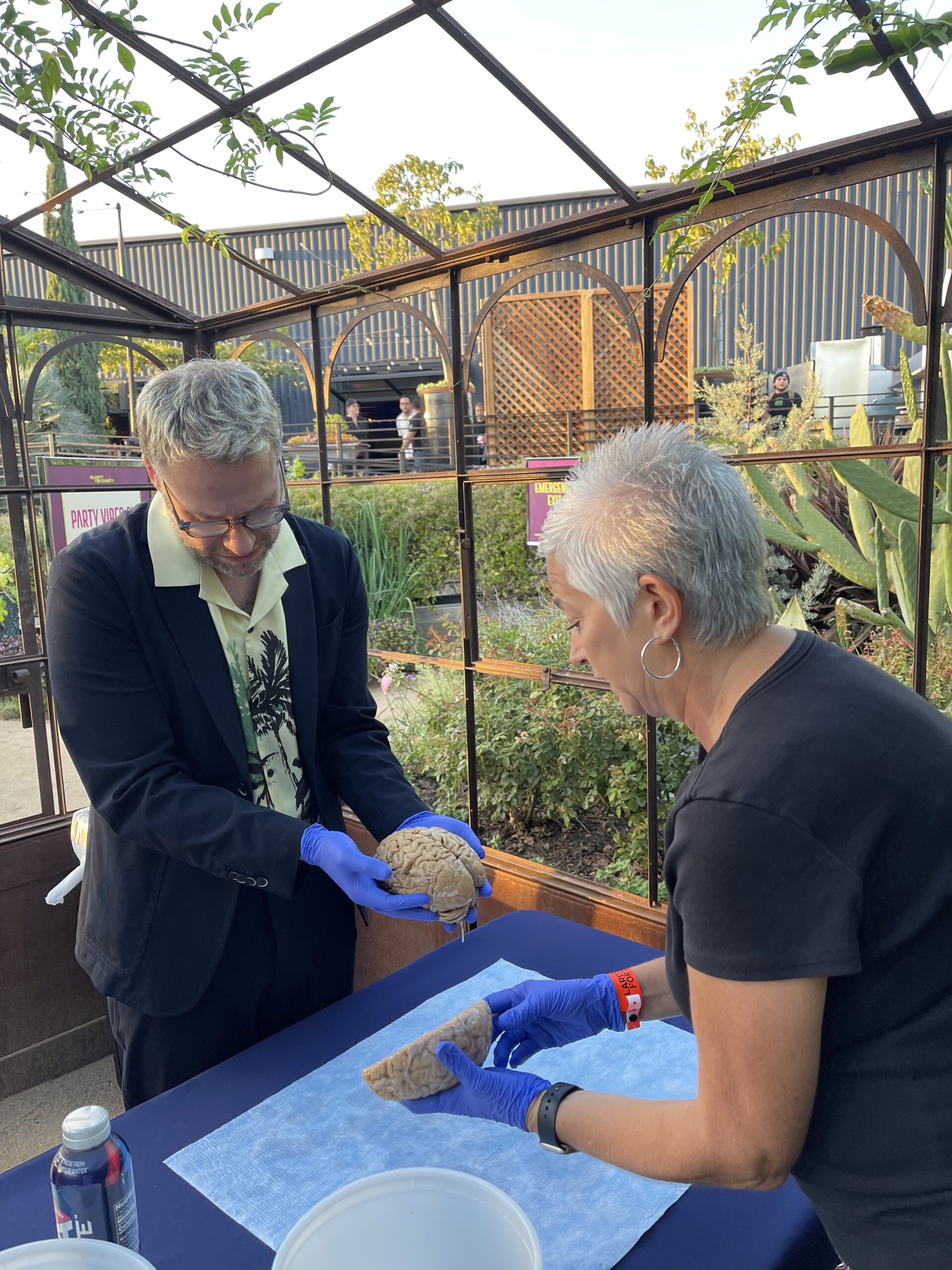 UCI MIND Partners with HFC for “10th Birthday Extravaganza” - UCI MIND